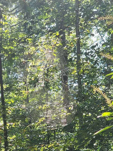 Best Hikes and Trails in Dorey Park | AllTrails