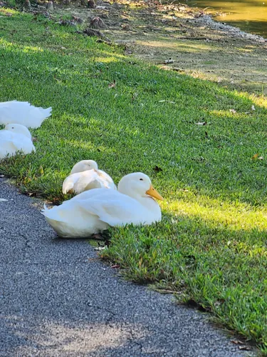 Best Hikes and Trails in Dorey Park | AllTrails