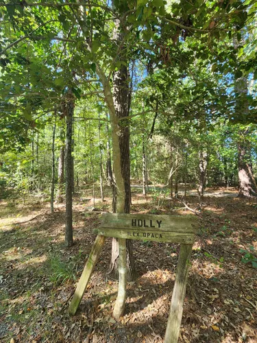 Best Hikes and Trails in Dorey Park | AllTrails