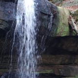 Dog Slaughter Falls Trail, Kentucky - 1,462 Reviews, Map | AllTrails