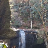 Dog Slaughter Falls Trail, Kentucky - 1,462 Reviews, Map | AllTrails