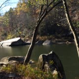 Dog Slaughter Falls Trail, Kentucky - 1,462 Reviews, Map | AllTrails
