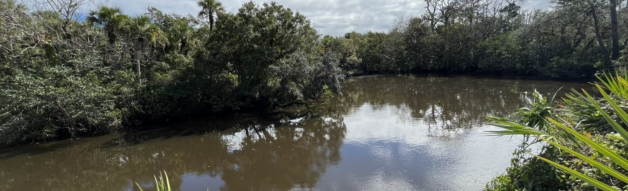 Halpatiokee Park River Trail, Florida - 690 Reviews, Map | AllTrails