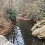 Hard Times Loop, North Carolina - 1,272 Reviews, Map | AllTrails