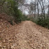 Hard Times Loop, North Carolina - 1,272 Reviews, Map | AllTrails