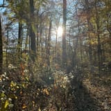 Nine Penny Branch Loop, Indiana - 598 Reviews, Map | AllTrails