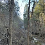 Nine Penny Branch Loop, Indiana - 598 Reviews, Map | AllTrails