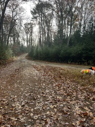 Best Hikes and Trails in Rutland State Park | AllTrails