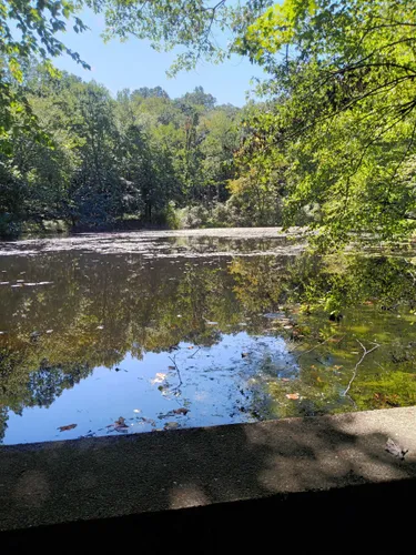 Best Hikes and Trails in Stephenson Wildlife Preserve | AllTrails