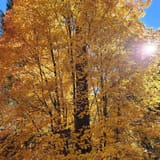 Bear Wallow Spring, Arizona - 436 Reviews, Map | AllTrails