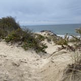 Napatree Point Conservation Area Trail, Rhode Island - 804 Reviews, Map ...