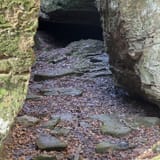 Panther Den Loop, Illinois - 846 Reviews, Map | AllTrails