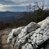 Sam Knob Trail, North Carolina - 1,348 Reviews, Map | AllTrails