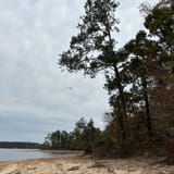 Bartram Trail: West Dam Recreation Area to Washington Road, South ...
