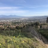 Powder Canyon Loop Trail, California - 2,244 Reviews, Map | AllTrails