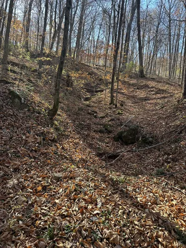 Best Hikes and Trails in French Lick | AllTrails