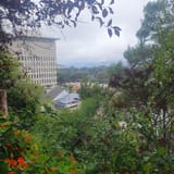 Mount Sutro Loop, California - 2,139 Reviews, Map | AllTrails