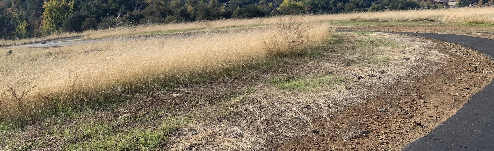 Serrano Trail, California - 32 Reviews, Map | AllTrails