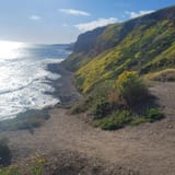 Shoreline and Catalina Loop, California - 1,611 Reviews, Map | AllTrails