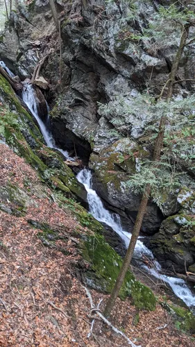 Best Hikes and Trails in Stevens Glen Reserve | AllTrails