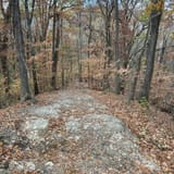 Mossy Ridge Trail Loop, Tennessee - 971 Reviews, Map | AllTrails