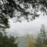 Cedar Butte Trail, Washington - 1,874 Reviews, Map | AllTrails