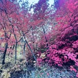 Sterling Pass Trail, Arizona - 918 Reviews, Map | AllTrails