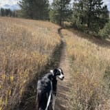 Idler's Rest Nature Preserve, Idaho - 262 Reviews, Map | AllTrails