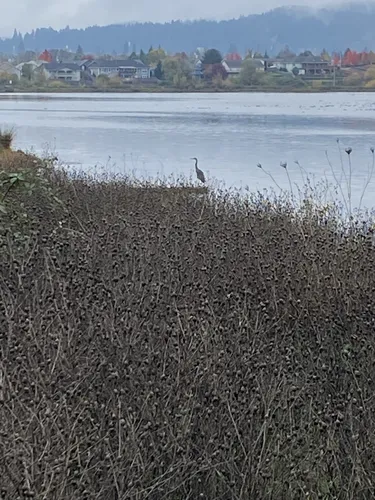 Best Hikes and Trails in Ford's Pond | AllTrails