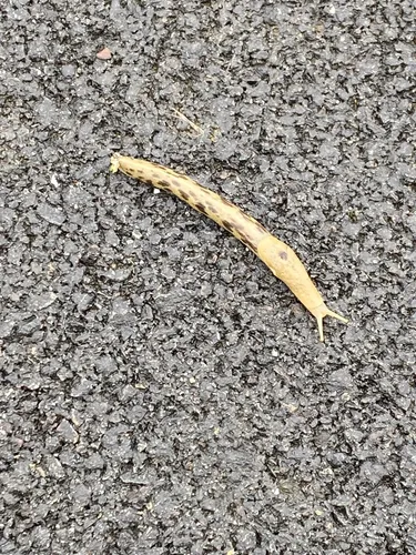 Best Hikes and Trails in Ford's Pond | AllTrails