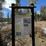 Inyo Craters Trail, California - 954 Reviews, Map | AllTrails