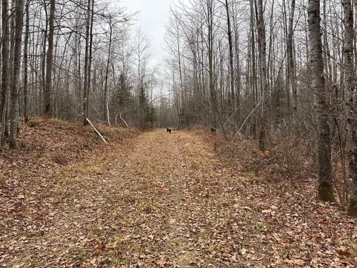 Best Hikes and Trails in Rusk County Forest | AllTrails