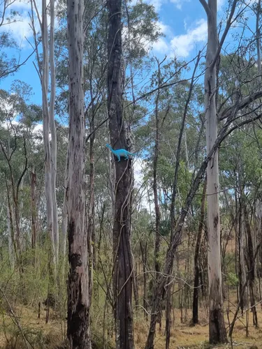 Best Hikes and Trails in Mulgoa Nature Reserve | AllTrails