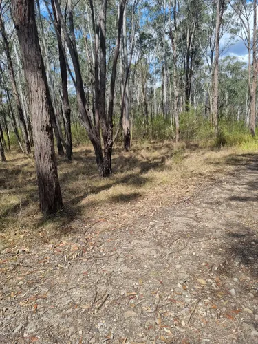 Best Hikes and Trails in Mulgoa Nature Reserve | AllTrails
