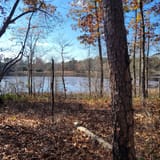 Batsto Lake Trail, New Jersey - 1,500 Reviews, Map | AllTrails