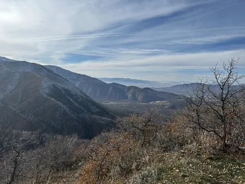 Best Forest Trails in Salem | AllTrails