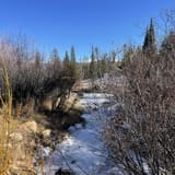 Salt Lick Trail, Colorado - 246 Reviews, Map | AllTrails