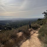 Altadena Crest Trail, California - 662 Reviews, Map | AllTrails