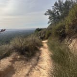 Altadena Crest Trail, California - 662 Reviews, Map | AllTrails