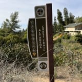 Altadena Crest Trail, California - 662 Reviews, Map | AllTrails