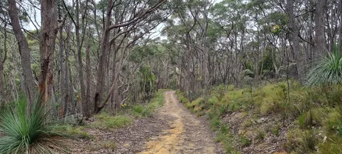 Best Hikes and Trails in Balhannah | AllTrails