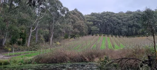 Best Hikes and Trails in Balhannah | AllTrails