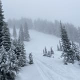 Skyline Loop, Washington - 14,760 Reviews, Map | AllTrails