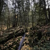 Chuckanut Falls, Washington - 549 Reviews, Map | AllTrails