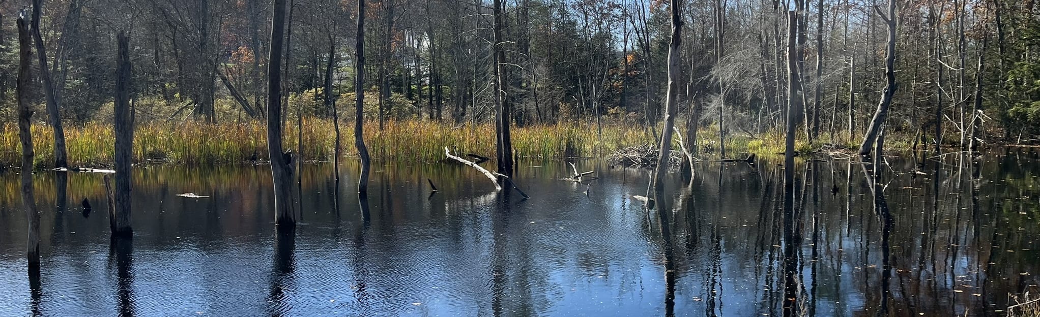 Mass Central Rail Trail to Rutland State Park, Massachusetts - 266 ...