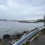 Seattle Waterfront Pathway, Washington - 719 Reviews, Map | AllTrails