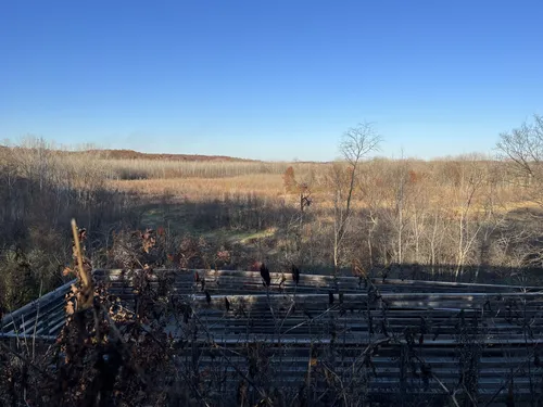 Best Hikes and Trails in TREC - Trail Recreation Effingham County ...