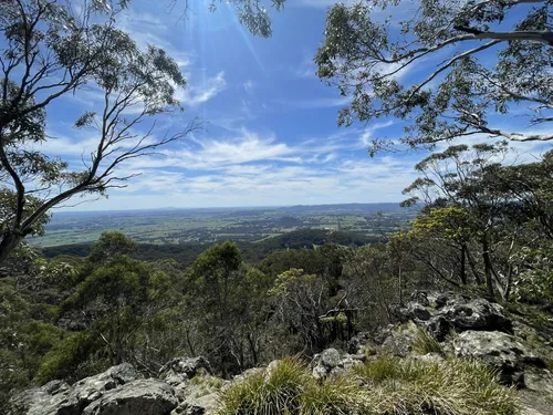 10 Best Trails and Hikes in Mount Macedon | AllTrails