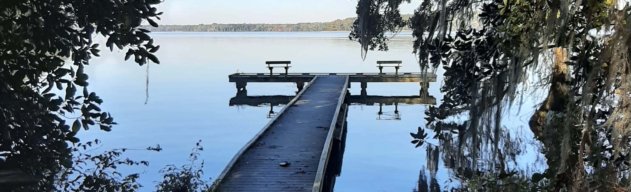 Lake Talquin State Park Observation Deck: 3 Fotos - Flórida | AllTrails