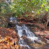 Soco Falls Trail, North Carolina - 685 Reviews, Map | AllTrails